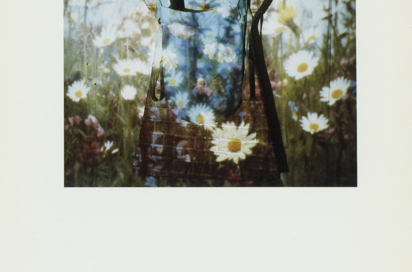 École et Espace d'art contemporain Camille Lambert, F. Quardon, H ...